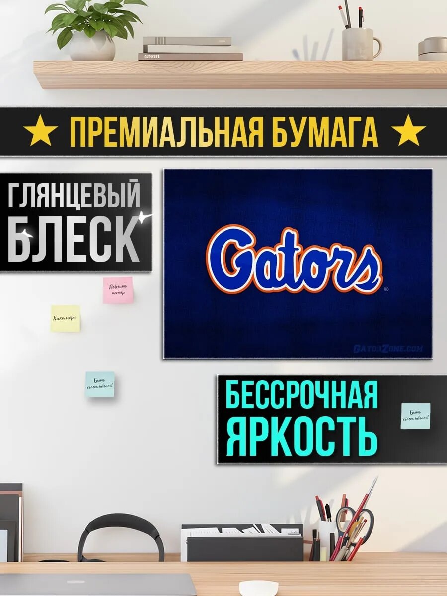 Плакат постер логотип Gators — фото 1