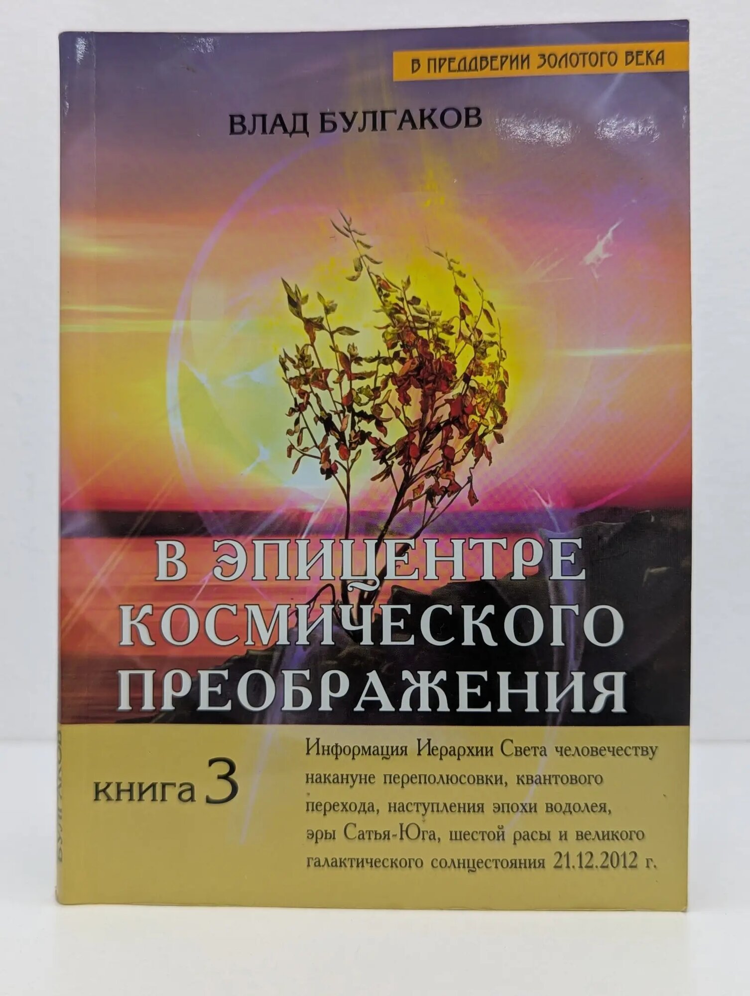 В преддверии Золотого века. В эпицентре космического преобразования. Книга 3 Булгаков Влад 2007