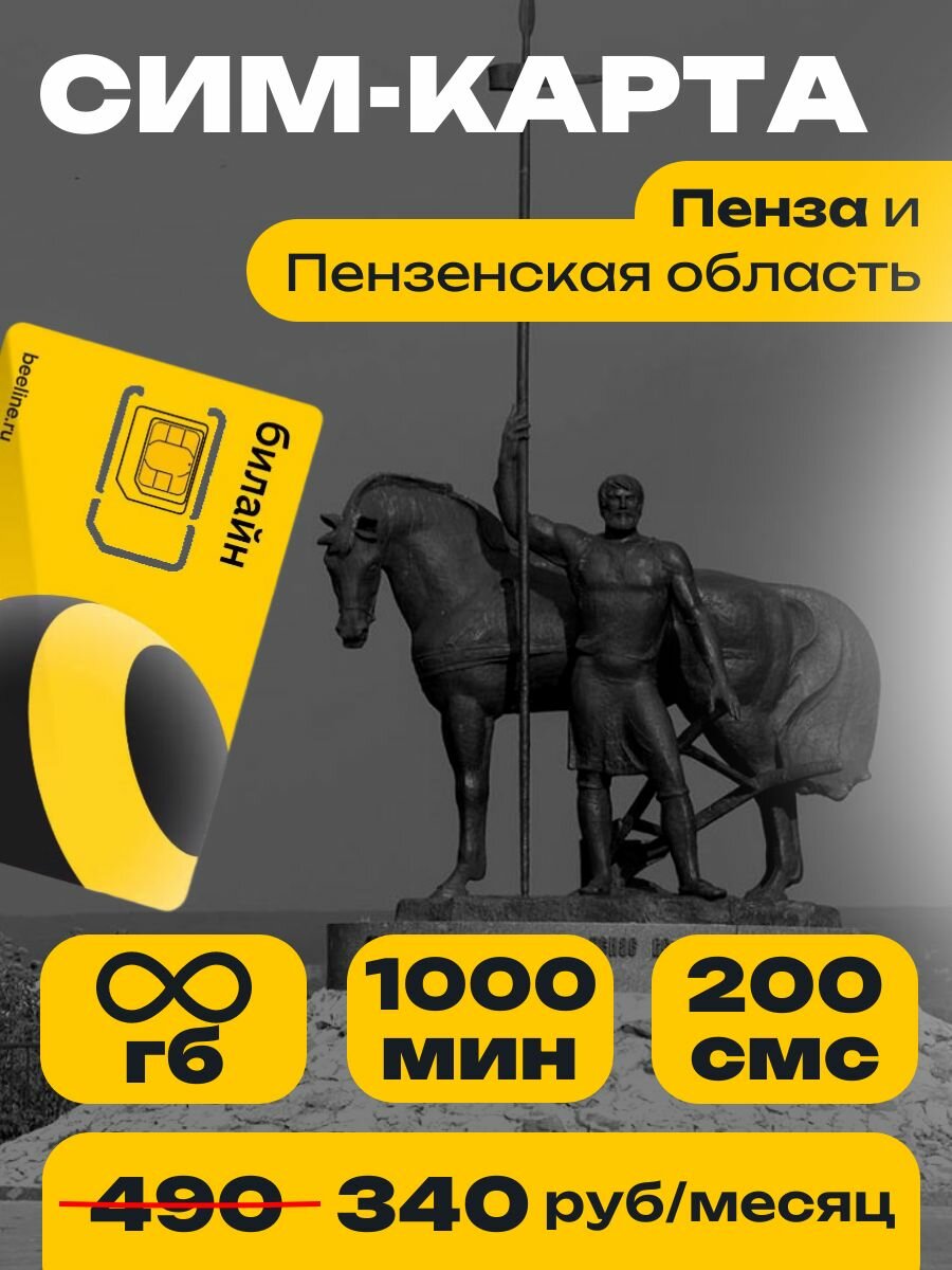 Сим-карта Билайн тариф Эксклюзивный Плюс Пензенская область Безлимитный интернет и 1000 минут за 340 руб.
