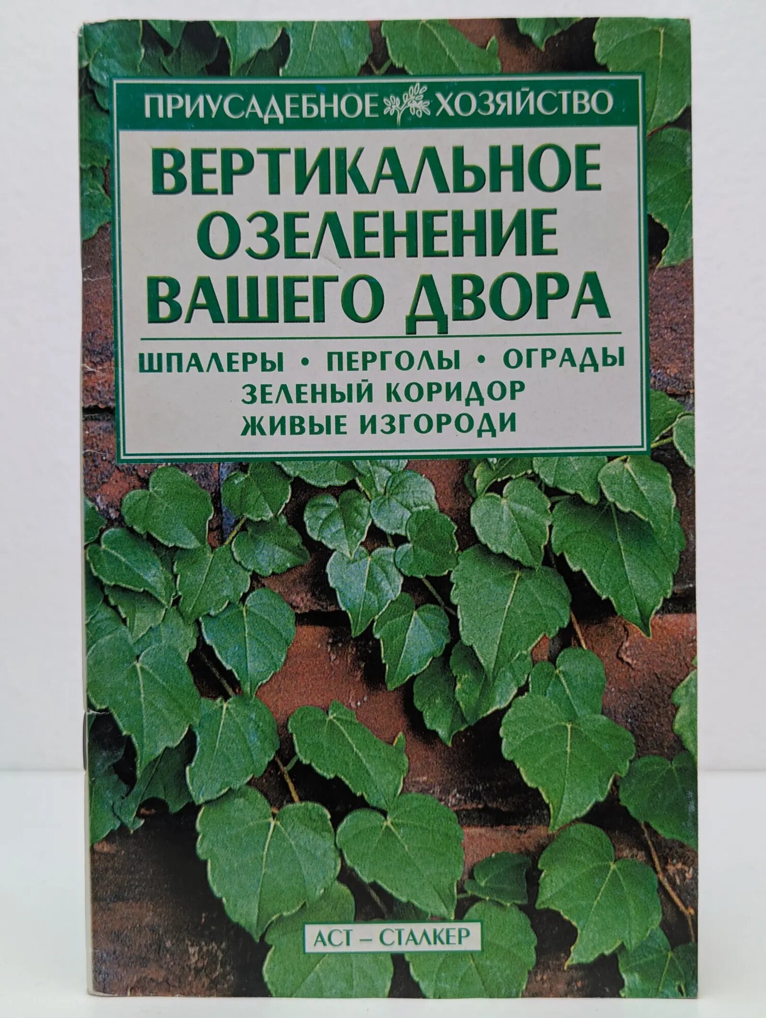Приусадебное хозяйство. Вертикальное озеленение вашего двора Костырко Диана Романовна 2006