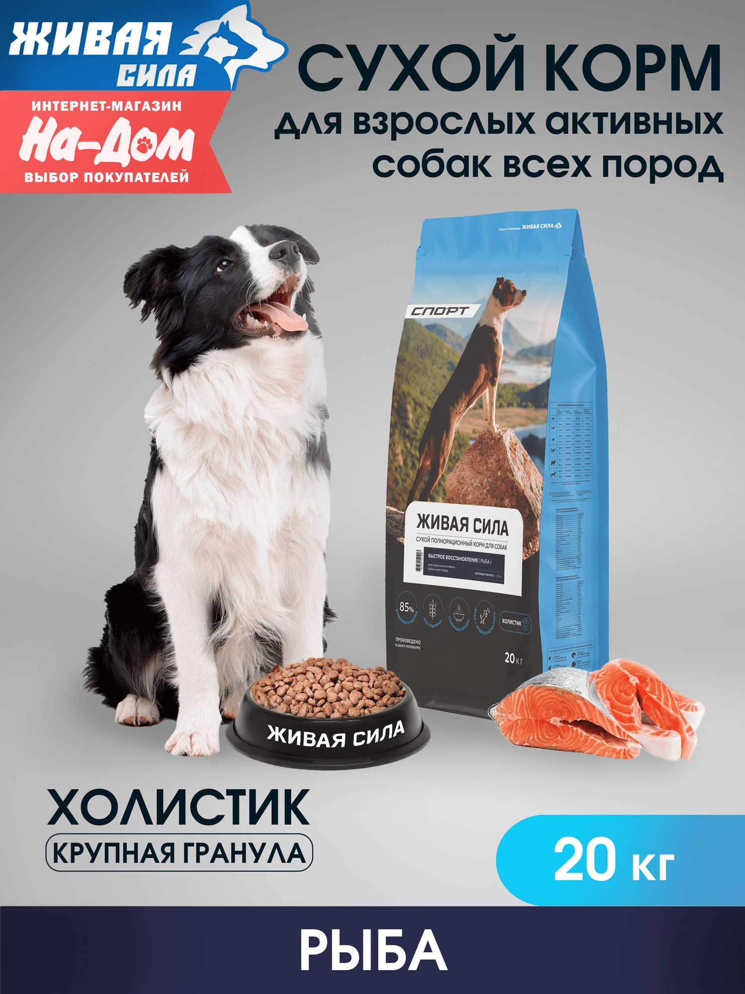 Живая Сила Спорт с рыбой (Живая Сила Океан), крупная гранула, 20 кг.