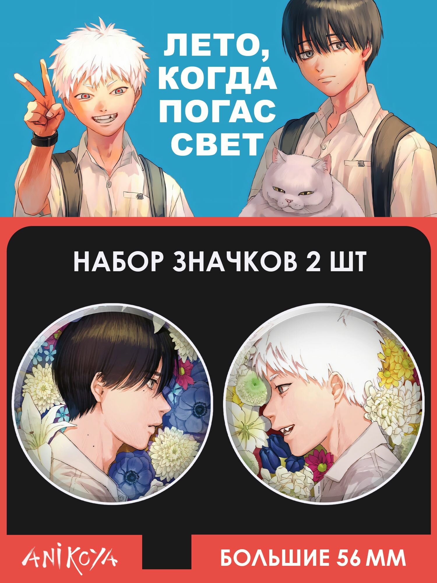 Набор значков