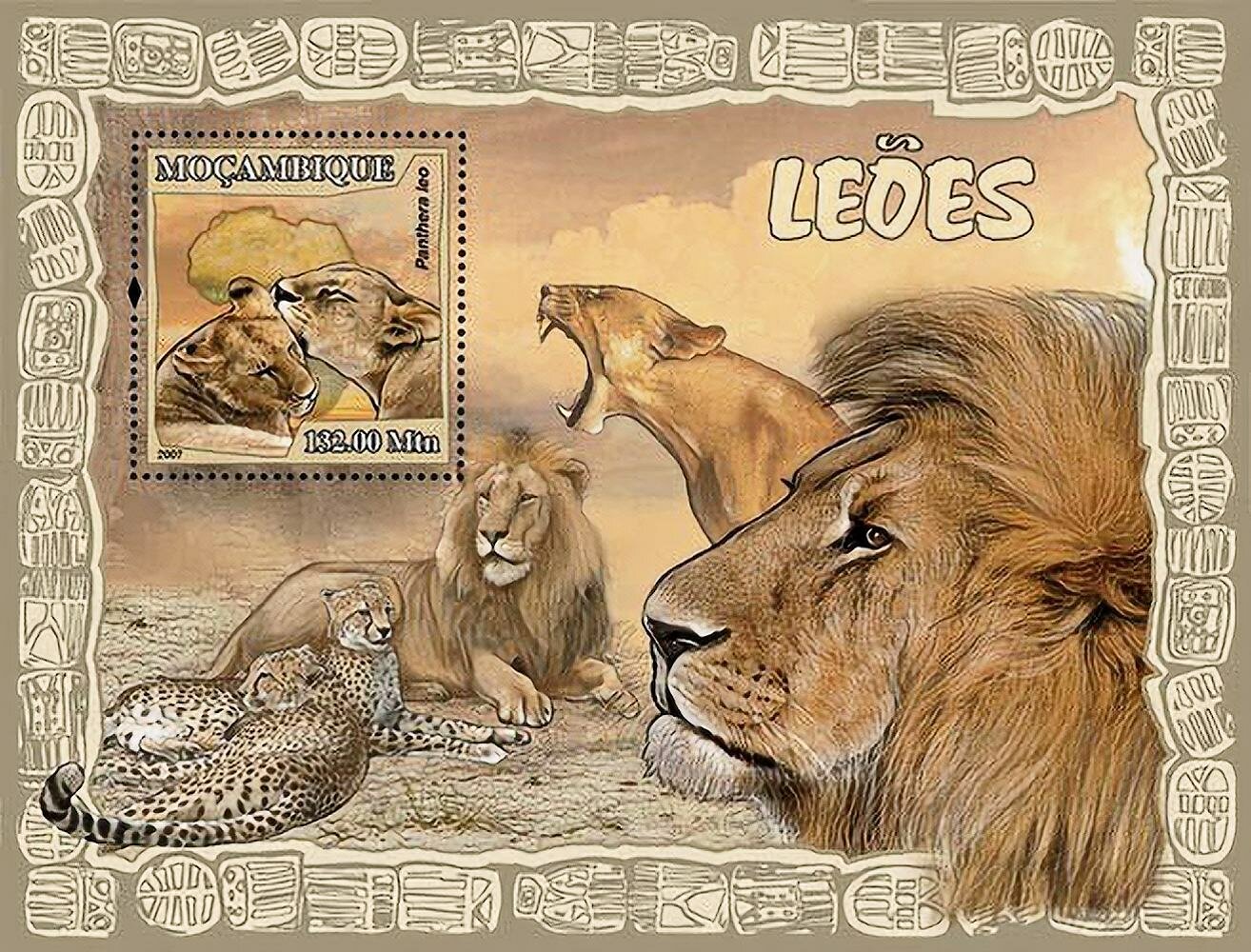 Почтовые марки Мозамбик 2007г. "Фауна - Львы" Львы MNH
