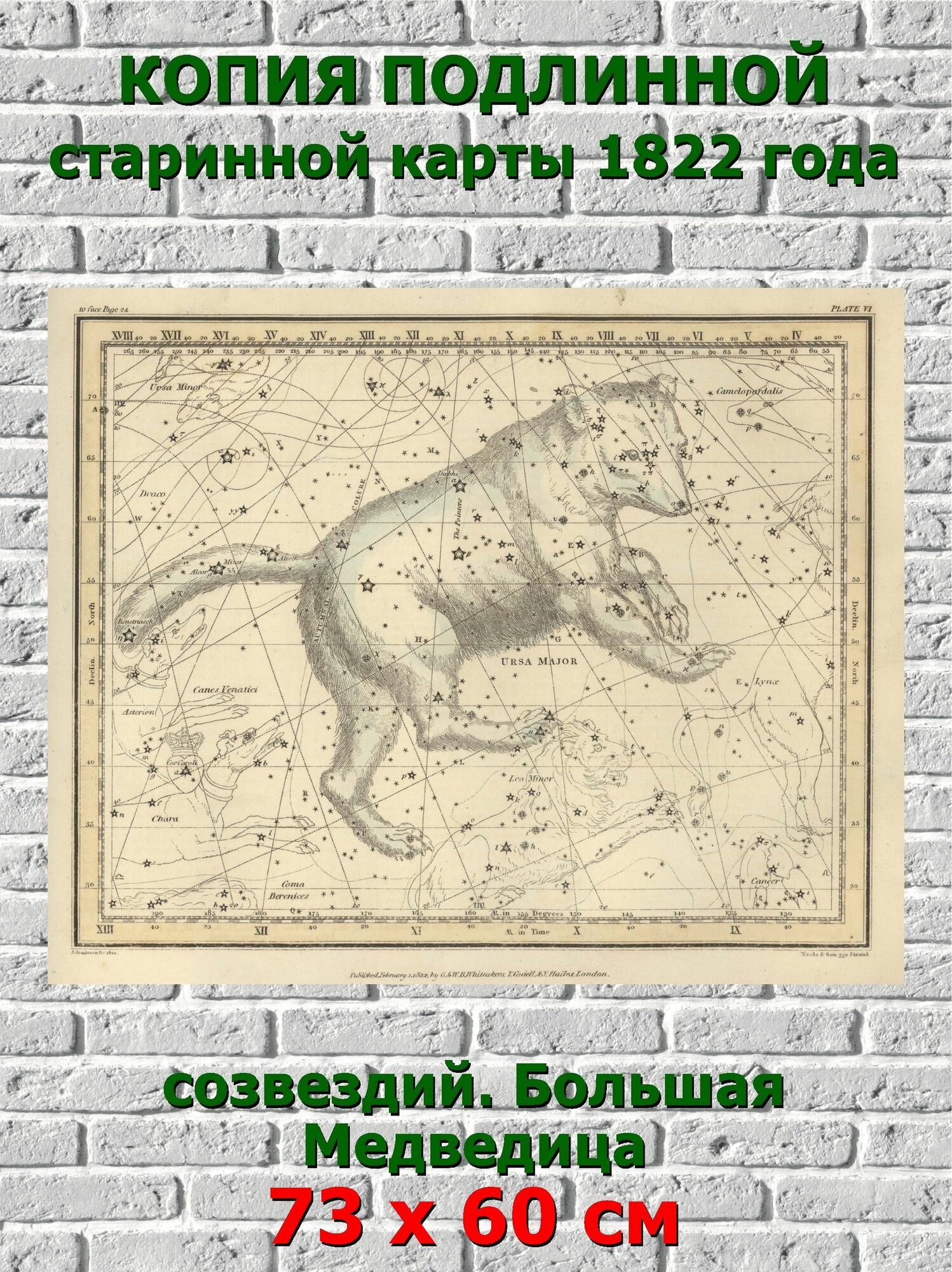Старинная Карта созвездий. Большая Медведица. (репринт карты 1822 года).
