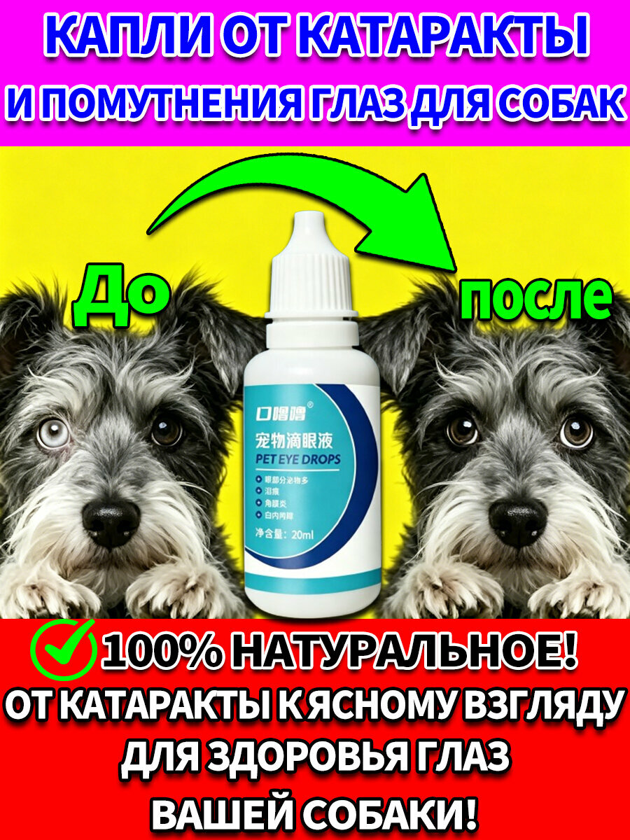 Глазные капли от помутнения хрусталика для собак