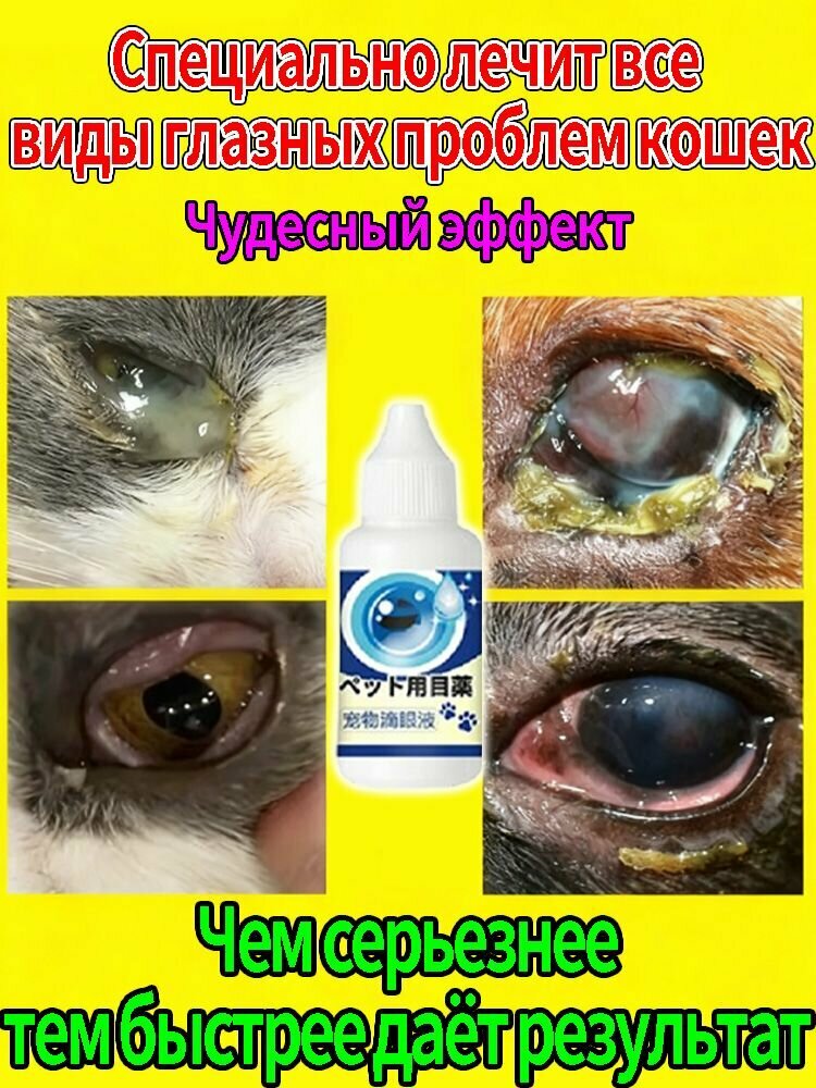 Капли для глаз для собак и кошек от гноя