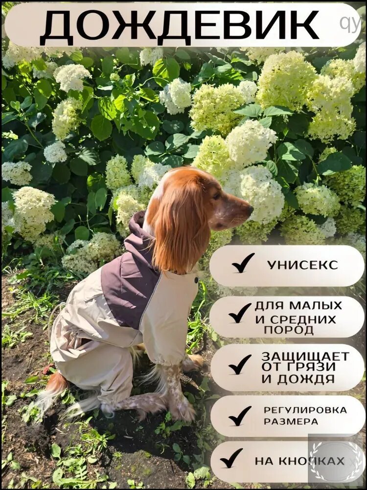 Одежда для собак дождевик — фото 1
