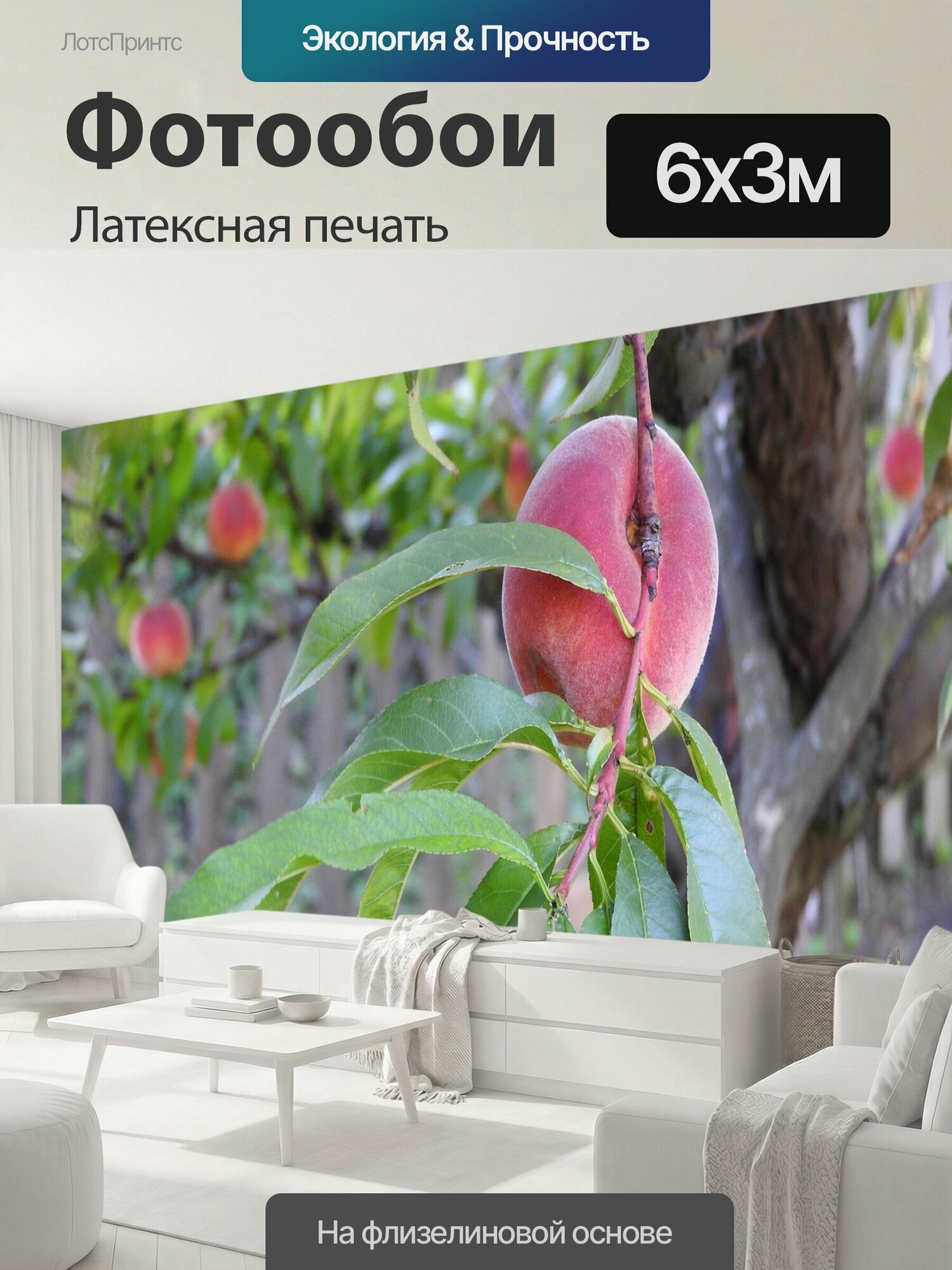 Фотообои моющиеся ударопрочные "Персик, ветвь персика, prunus persica" 600x300 см. латексная печать