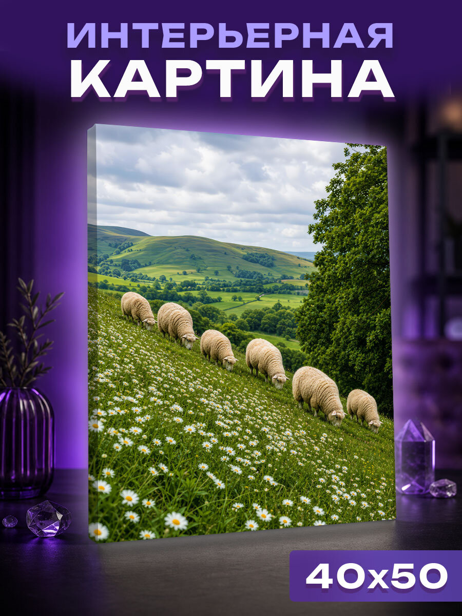 Интерьерная картина Овцы среди ромашковых холмов
