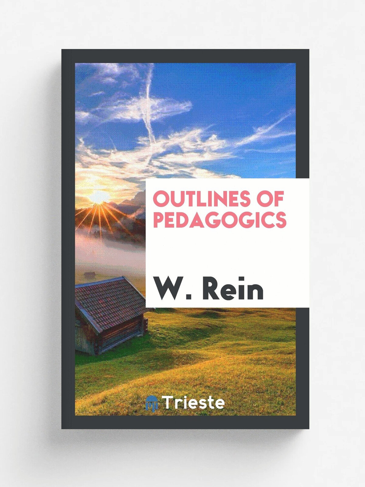 Outlines of pedagogics
