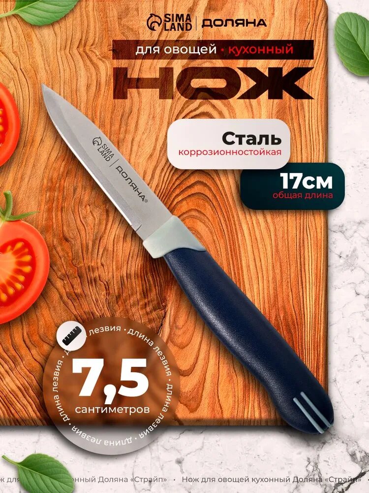 Нож Доляна «Страйп», нержавеющая сталь/пластик, лезвие 7.5 см, синий