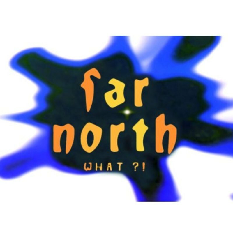 Компакт-диск Far North — What? (RU)(CD)