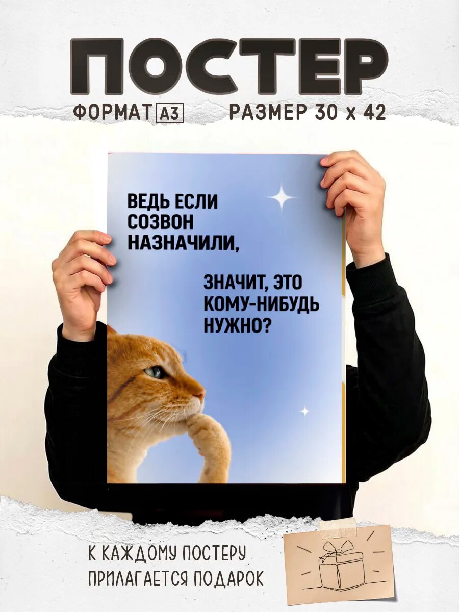 Постер на стену с мемом