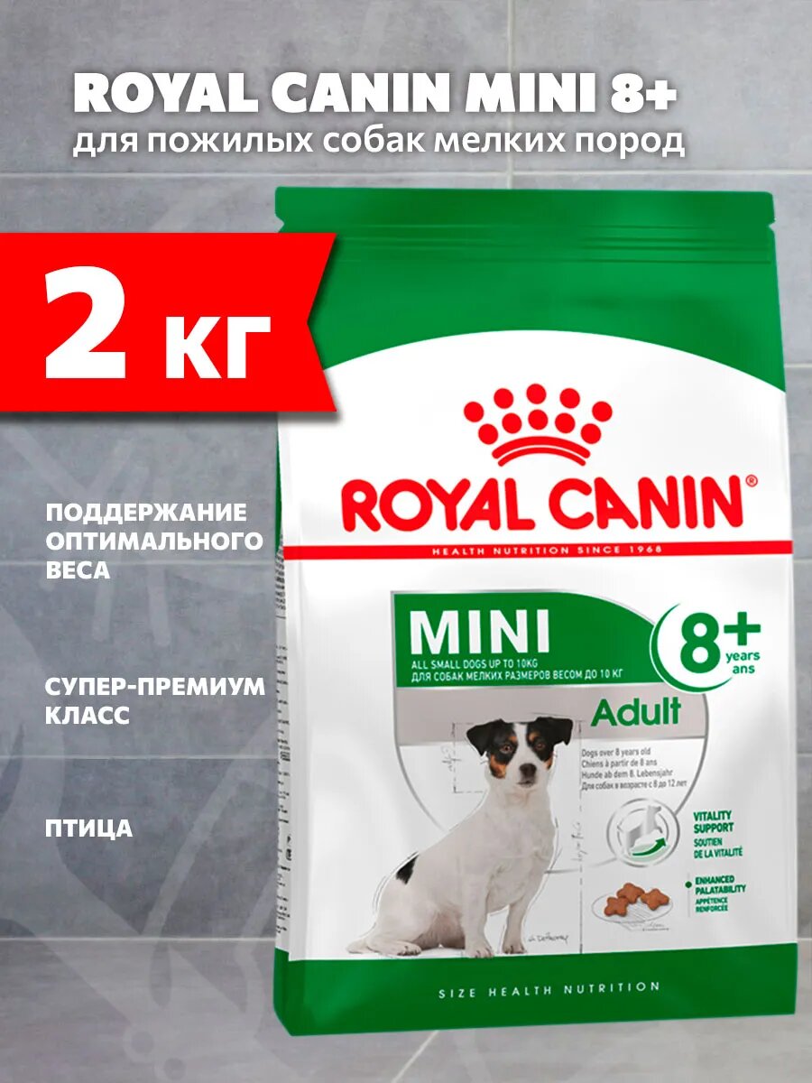 Корм сухой Royal Canin Mini Adult 8+ для пожилых собак маленьких пород старше 8 лет, 2 кг