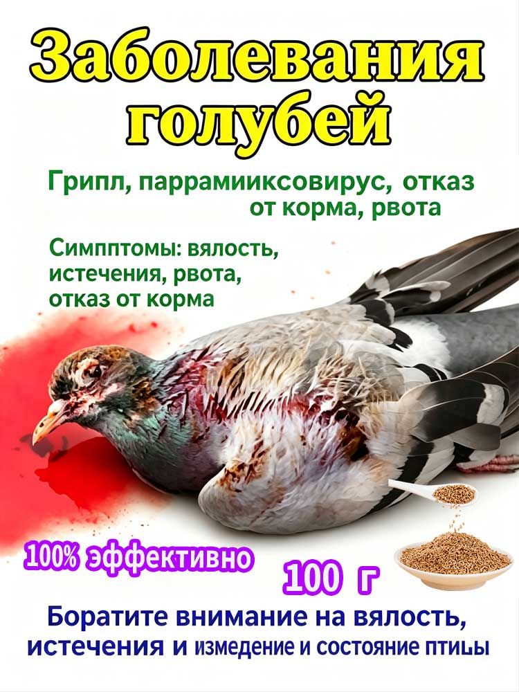 Профилактика и лечение болезни Ньюкасла у голубей (БНЗ) коррекция наклона головы у гоночных и почтовых голубей