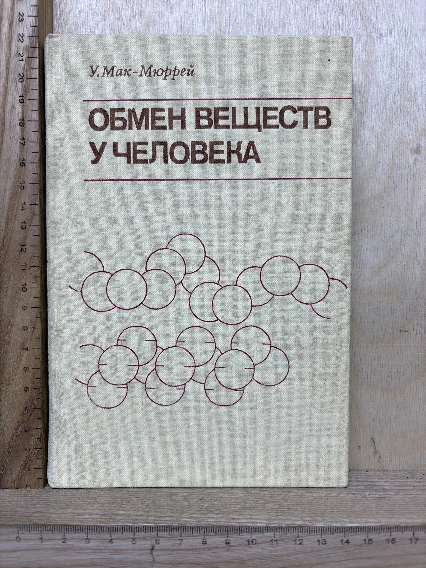 Обмен веществ у человека