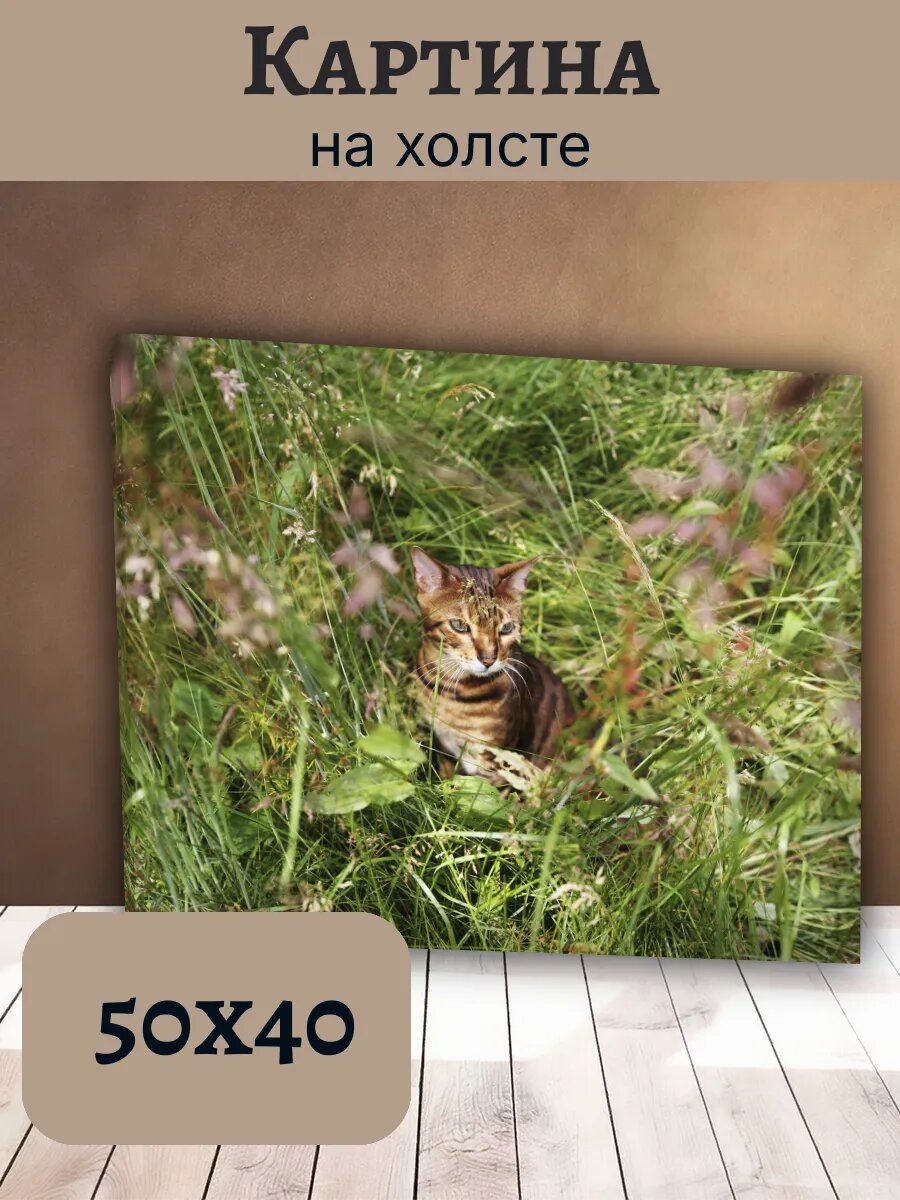 Картина Кот Кошка Cat 40x50 рыжий полосатый котенок в траве