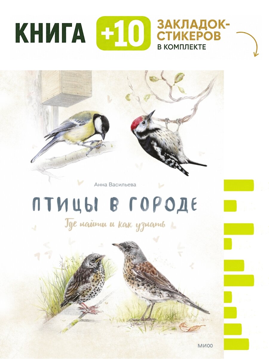 Птицы в городе. Где найти и как узнать. Комплект: книга + 10 закладок-стикеров