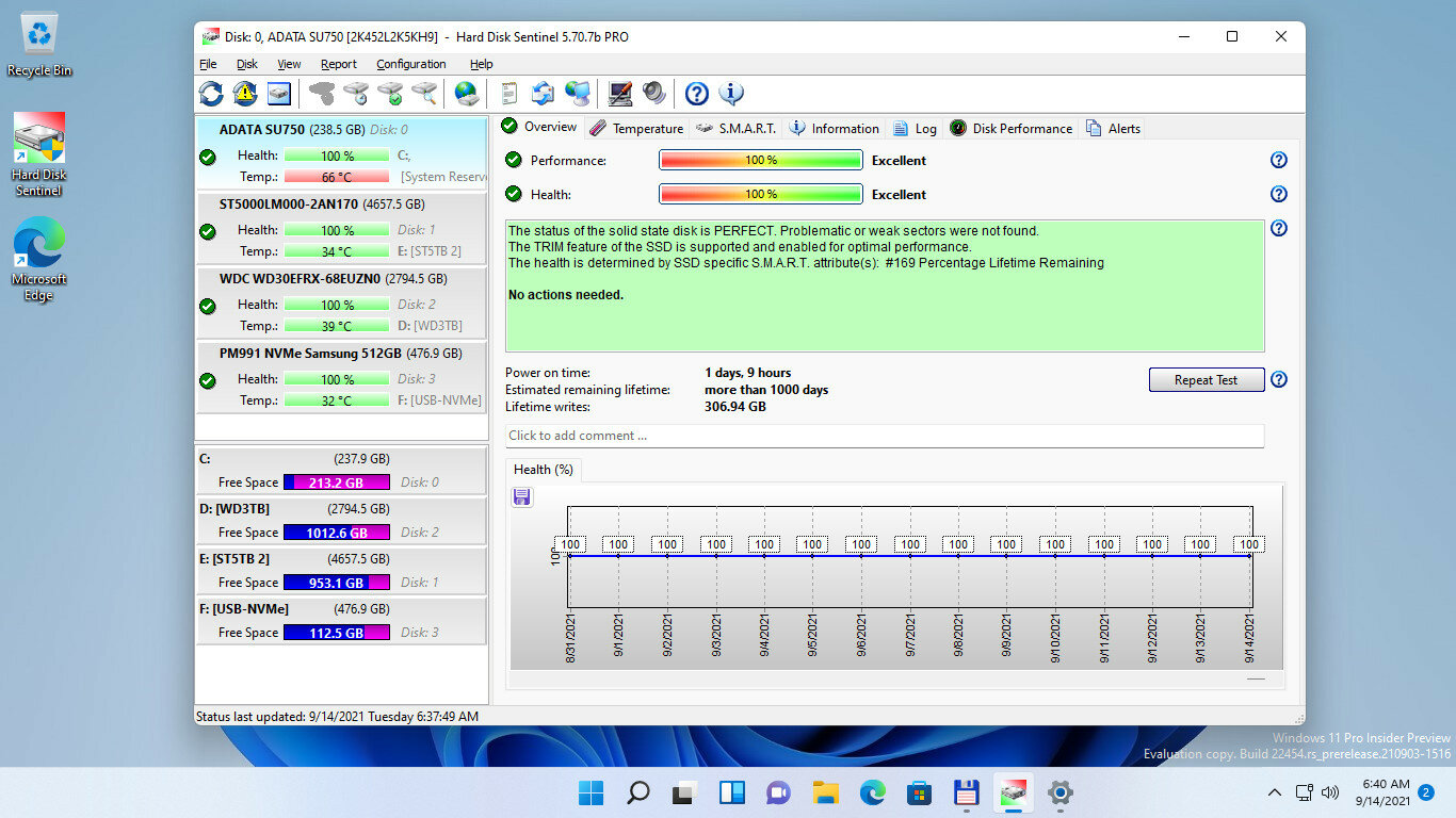 Hard Disk Sentinel Professional • регион Весь мир • цифровой ключ