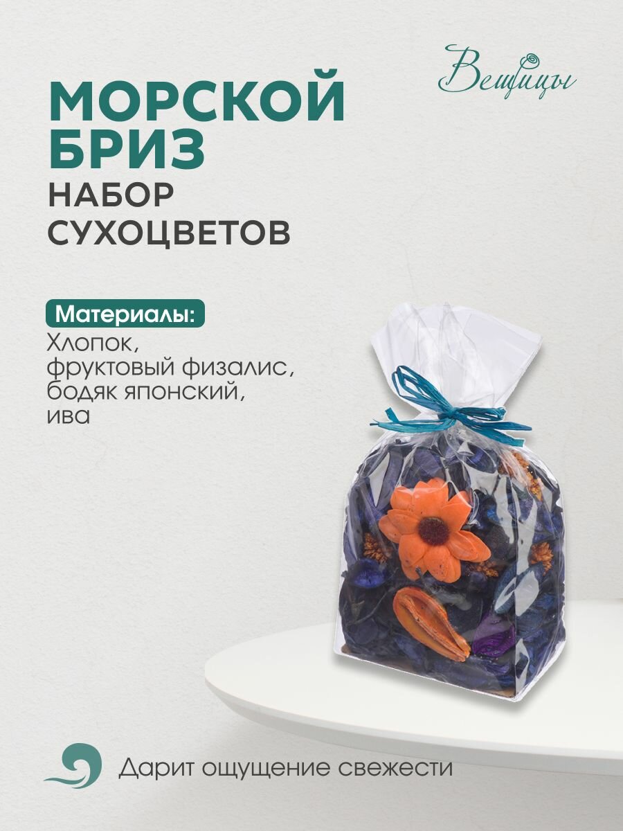 Набор сухоцветов из натуральных материалов "Морской бриз", 15,5х10 см