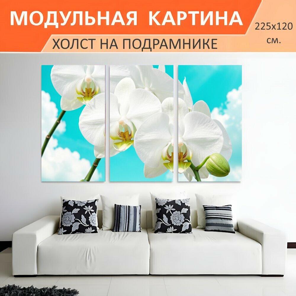 Модульная картина на холсте "Белые орхидеи на фоне неба. Нежные тропические цветы с крупными лепестками и зелёными бутонами на ярком." триптих на подрамнике 225х120 см. для интерьера