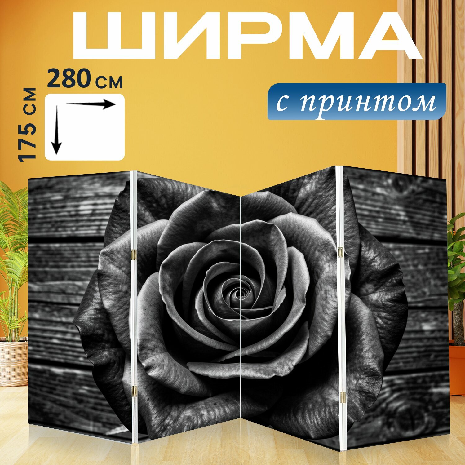 Ширма "Черная роза на деревянном фоне. Крупный цветок в монохромной гамме с бархатистыми лепестками на фоне." перегородка для зонирования комнаты с принтом 280x175 см. на холсте