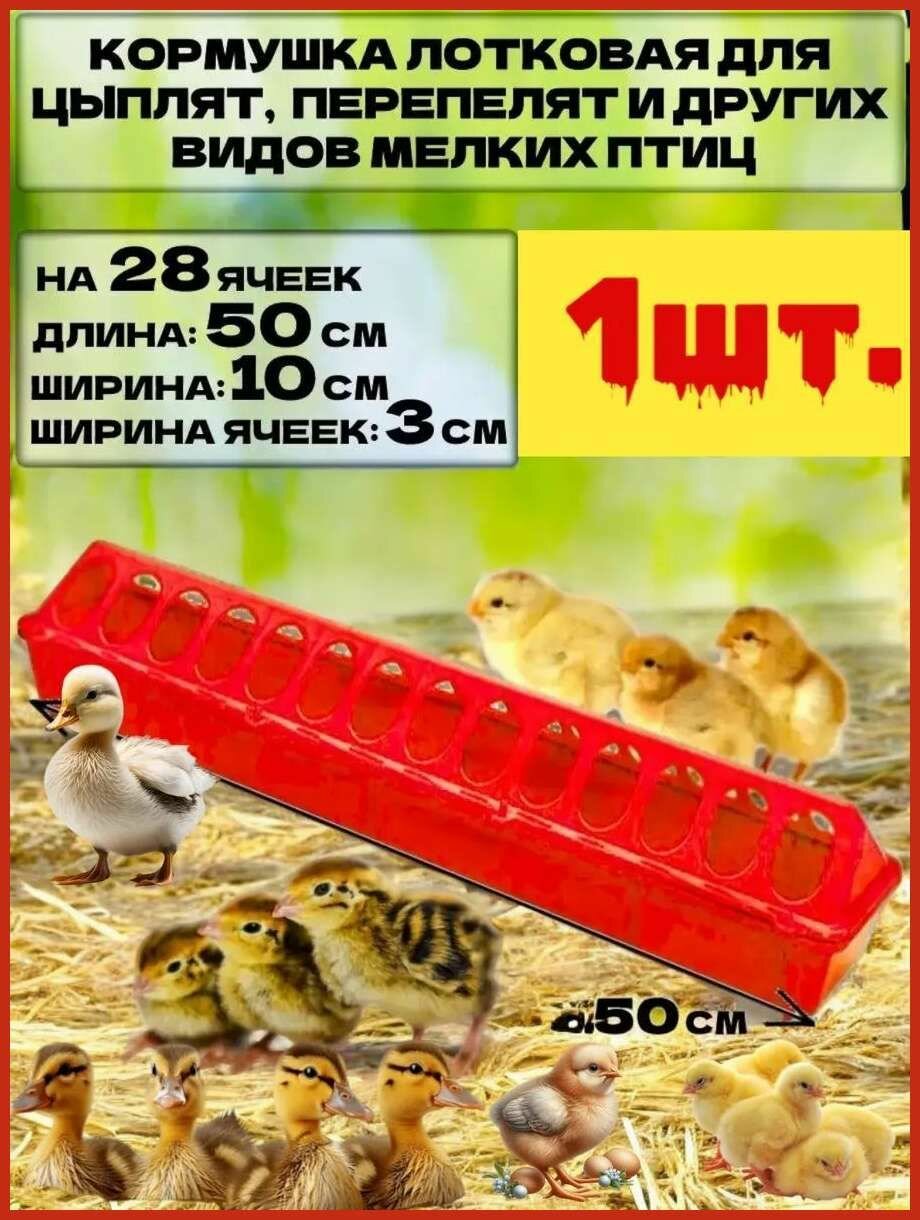 1, 28 сеток, кормушек для длинных кормушек для кур, домашней птицы и голубей