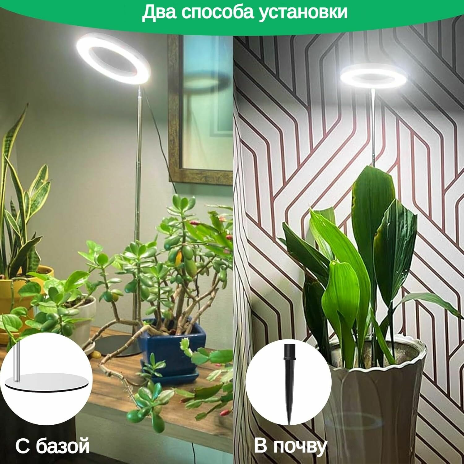 Фитолента — фото 1