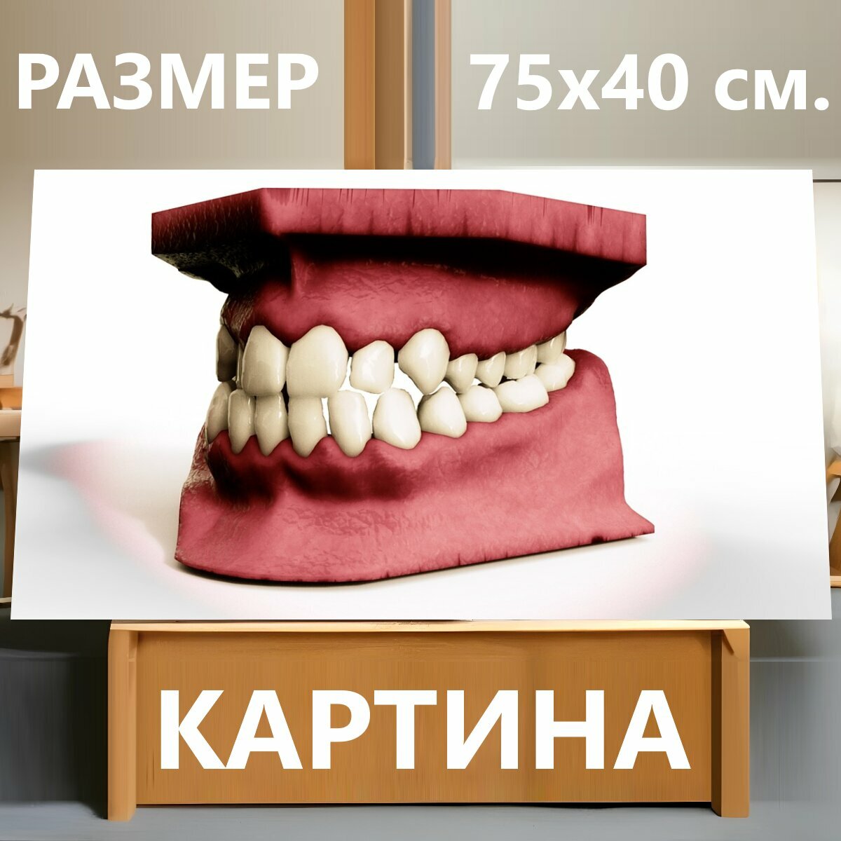 Картина на холсте "Зубы, челюсть, 3d-модель" на подрамнике 75х40 см. для интерьера