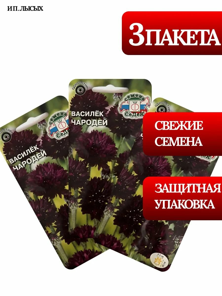 Семена Василёк "Чародей"