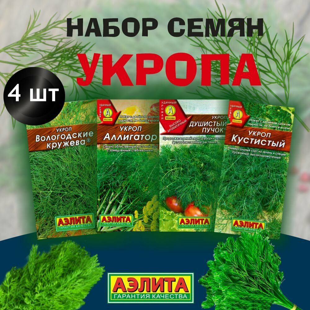Набор семян укропа 4 шт.