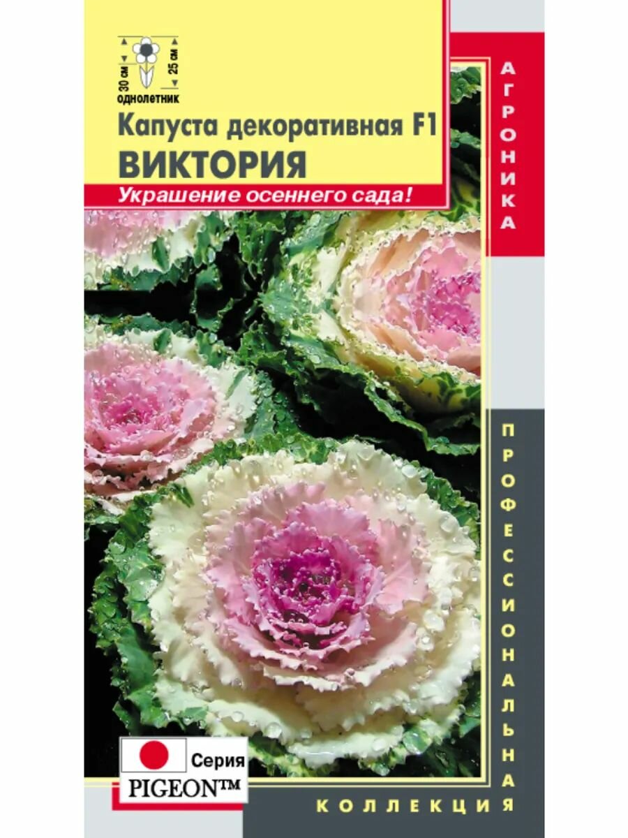 Декоративная капуста Виктория F1 (cерия Pigeon) 5 шт, Плазменные Семена