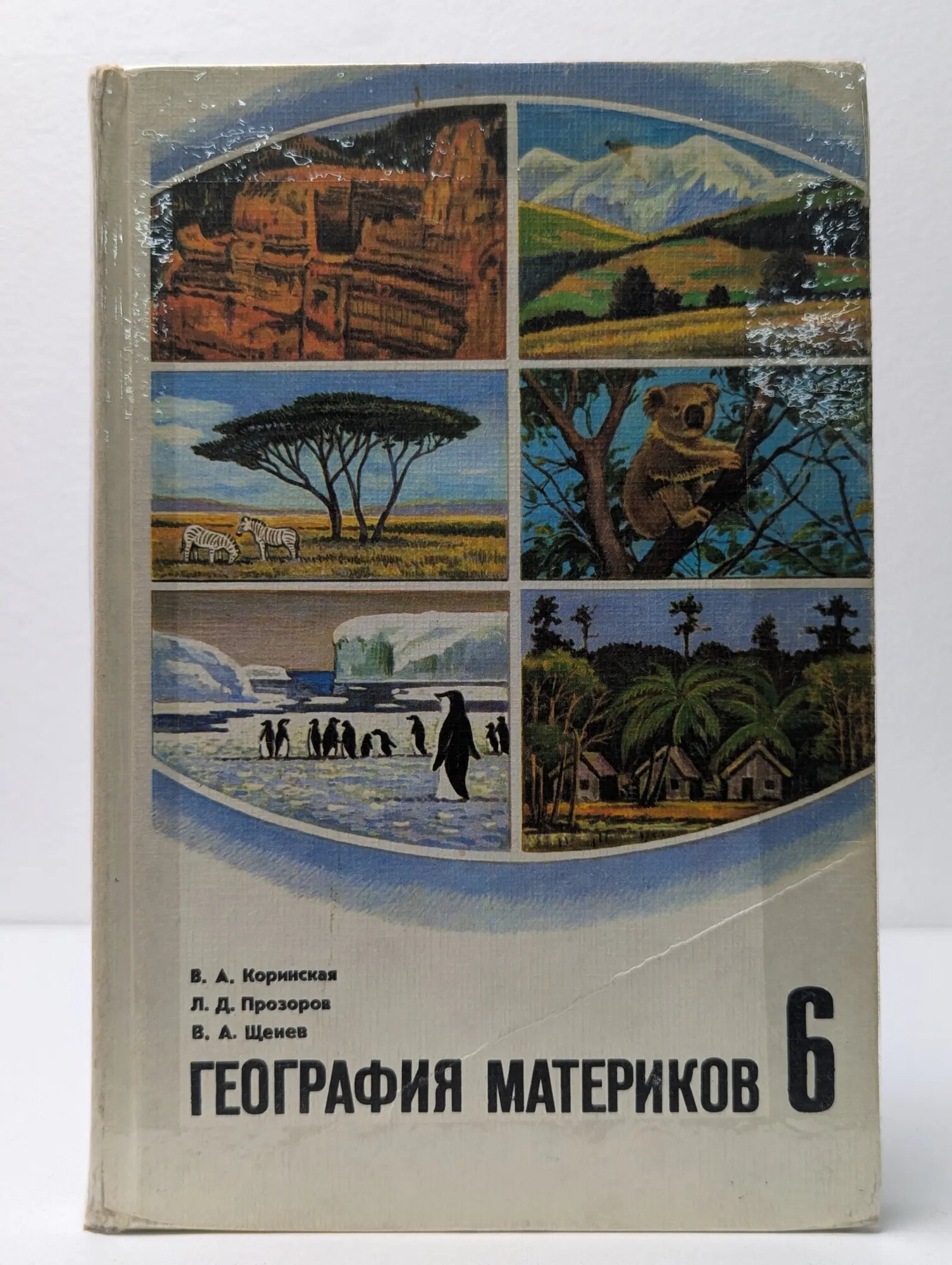География материков. Учебник для 6 класса Коринская Валентина Александровна, Щенев Владимир Андреевич, Прозоров Леонид Дмитриевич 1981