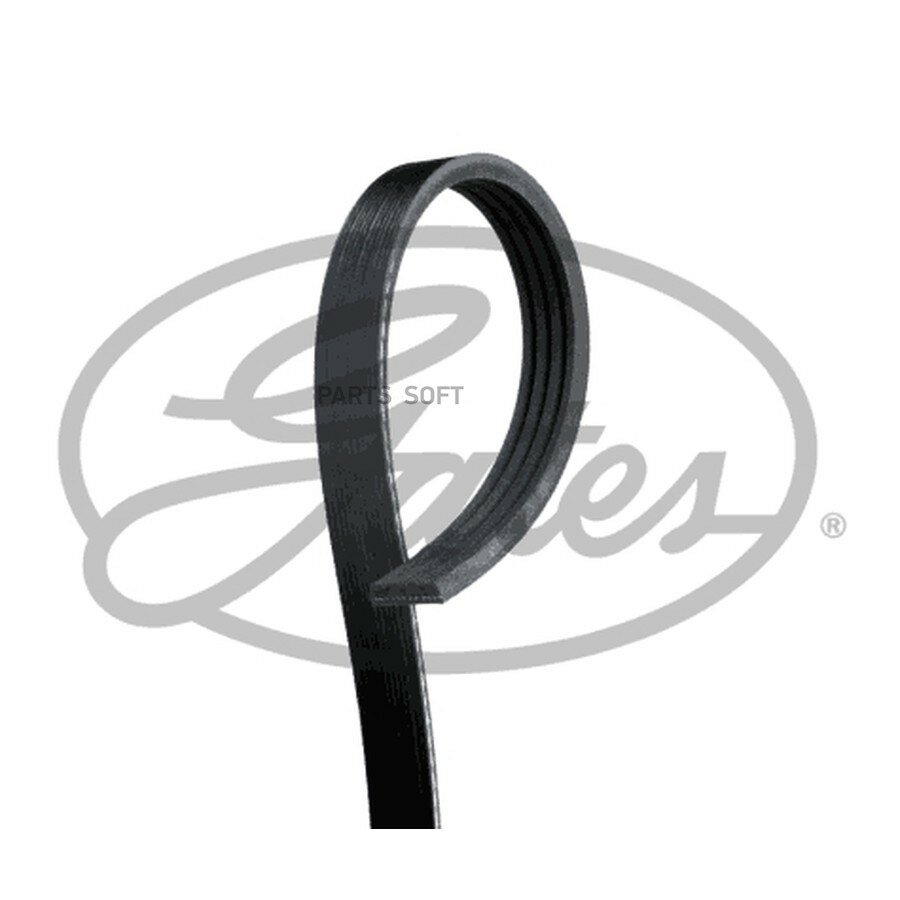 Ремень поликлиновой Gates GATES 4PK923 | цена за 1 шт