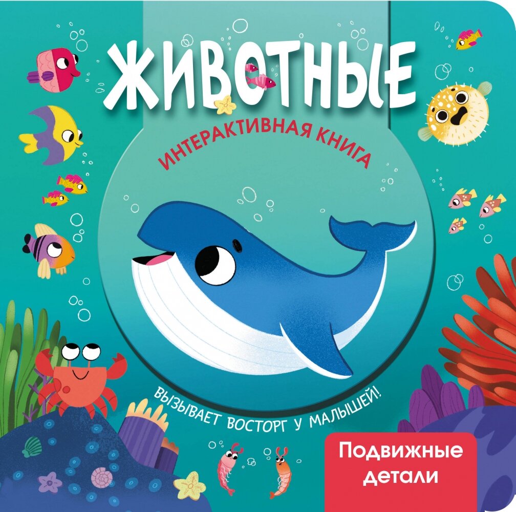 Животные