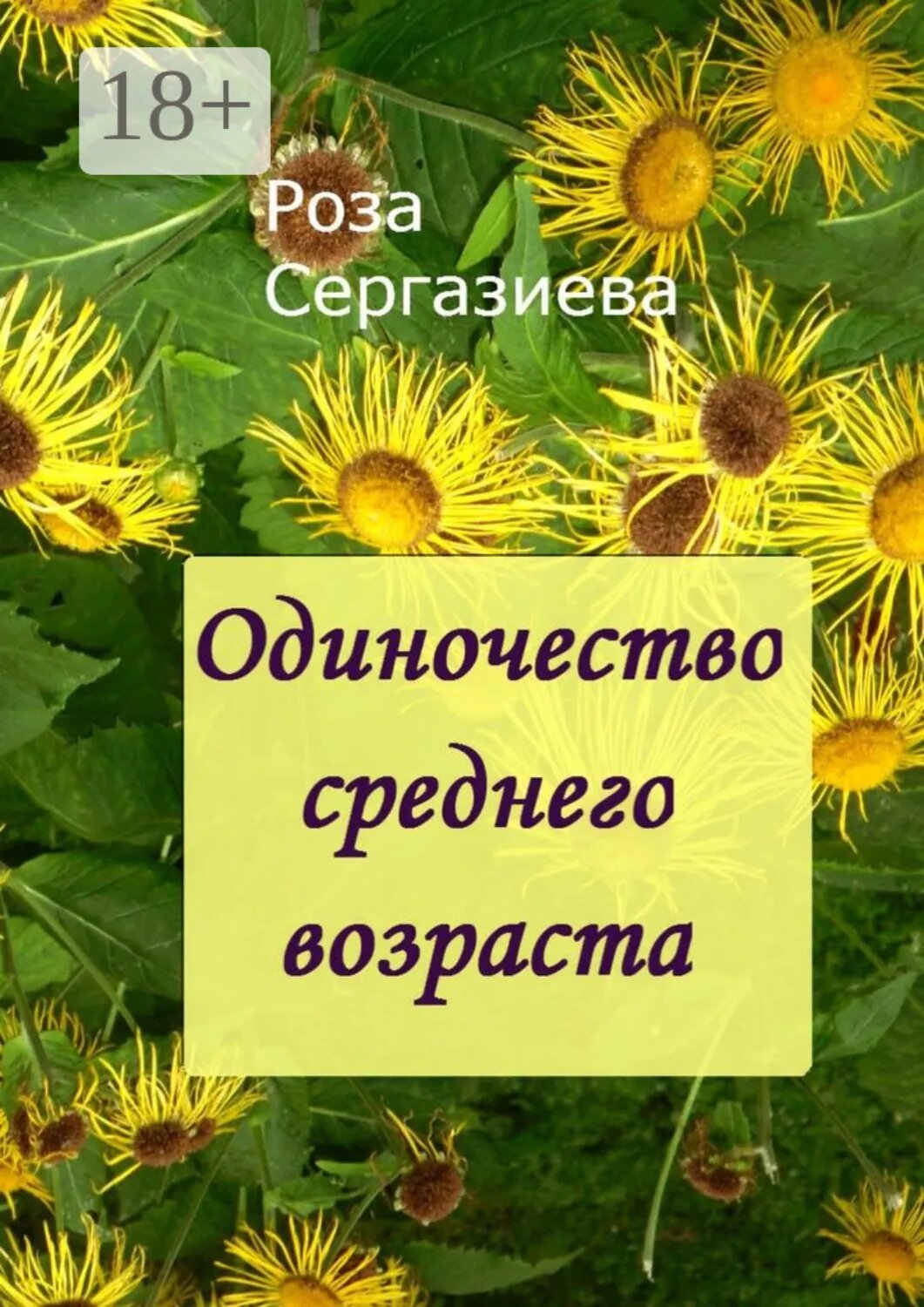 Одиночество среднего возраста. (серия «Аквамарин») [Цифровая книга]