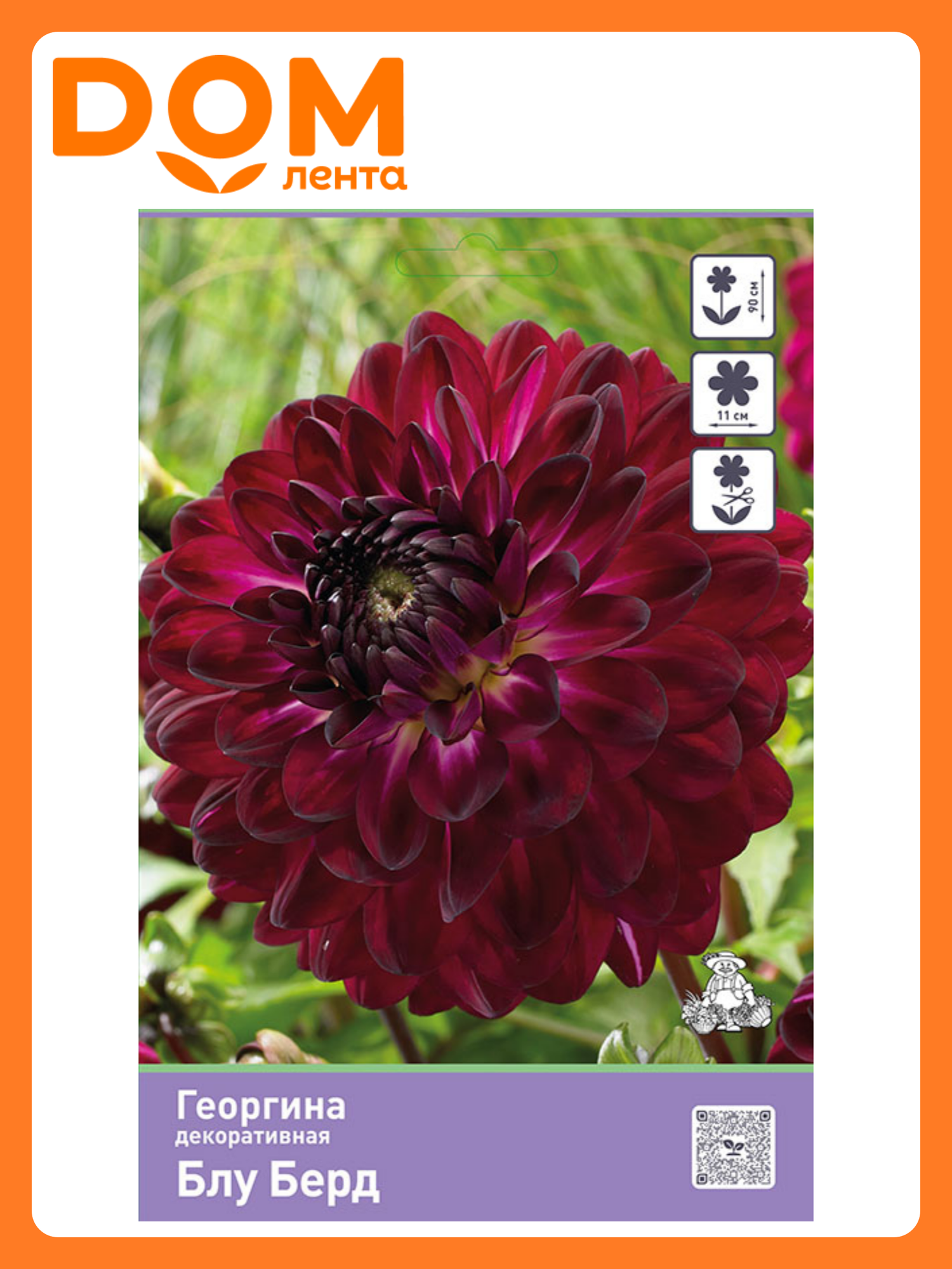 Луковицы Георгины Блу Берд 1 шт