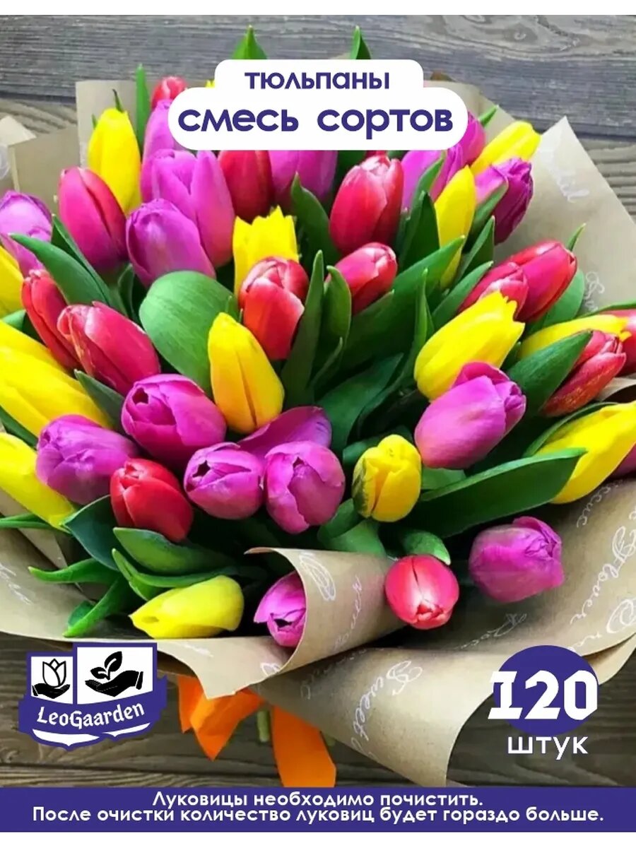 Тюльпан Луковицы, Микс сортов, 120шт