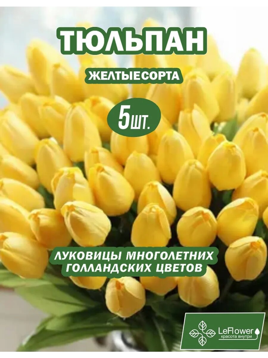 Луковичные цветы тюльпан микс желтые сорта