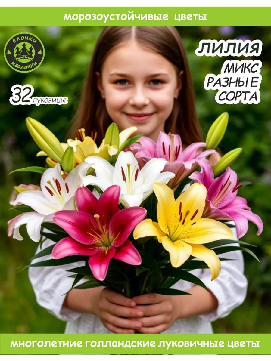 Лилия Луковица, Микс разные, 32шт