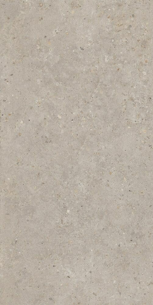 SG540620R Риккарди бежевый матовый обрезной 60x119,5x0,9 Орел