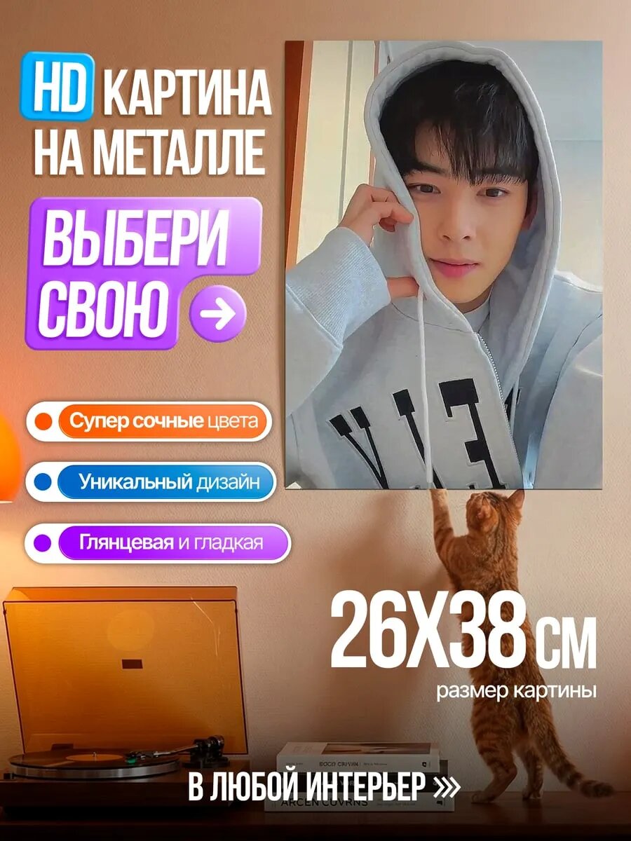 Картина на HD металле Ча Ыну в худи