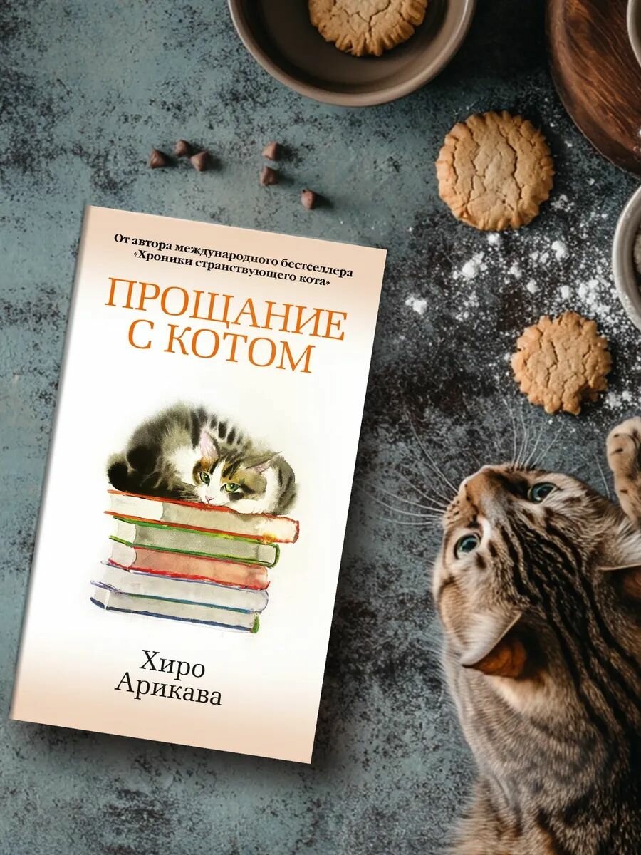 Прощание с котом — фото 1