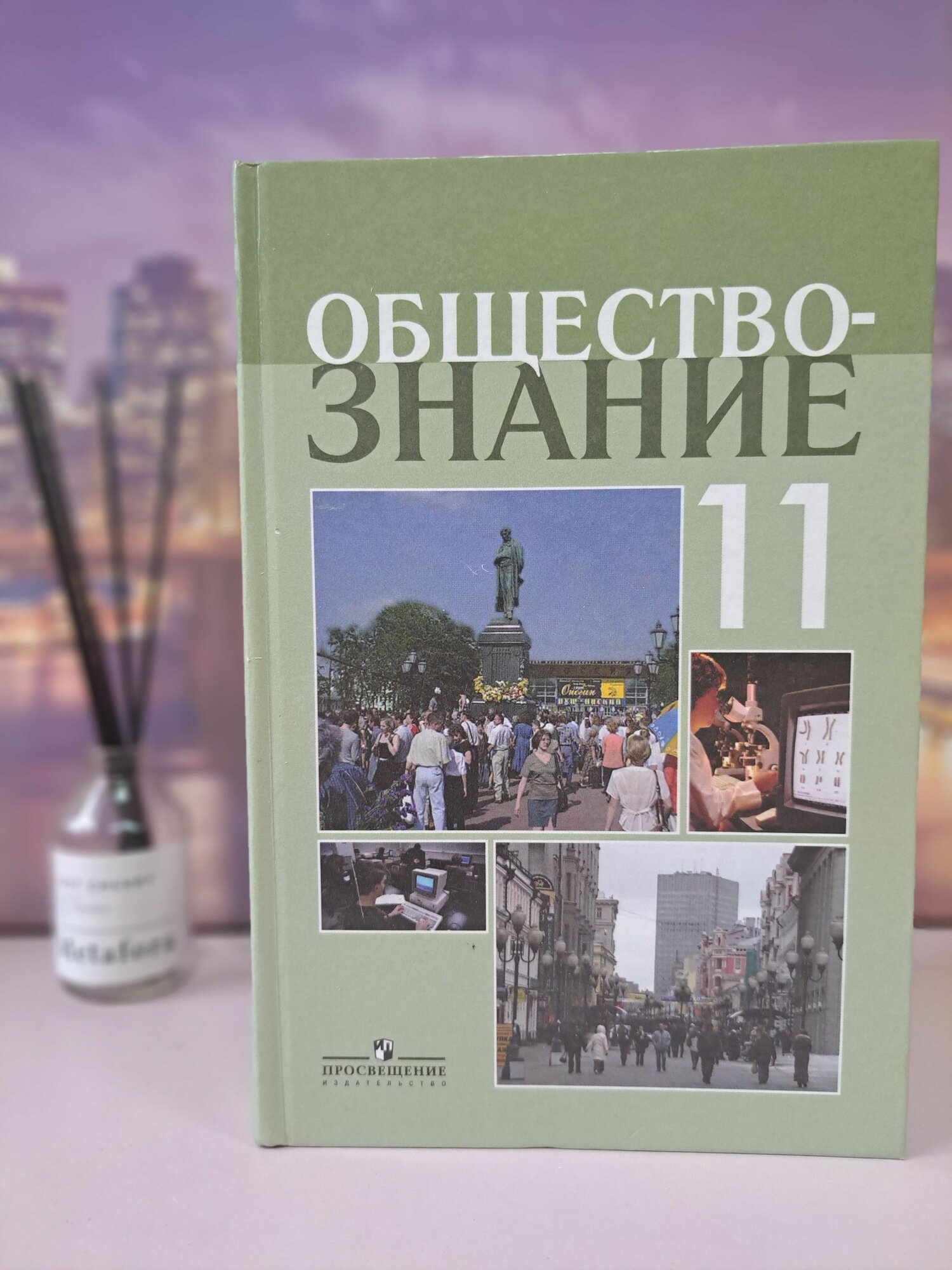 Обществознание 11 класс