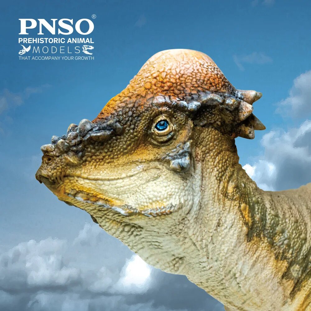 PNSO А Austin The Pachycephalosaurus