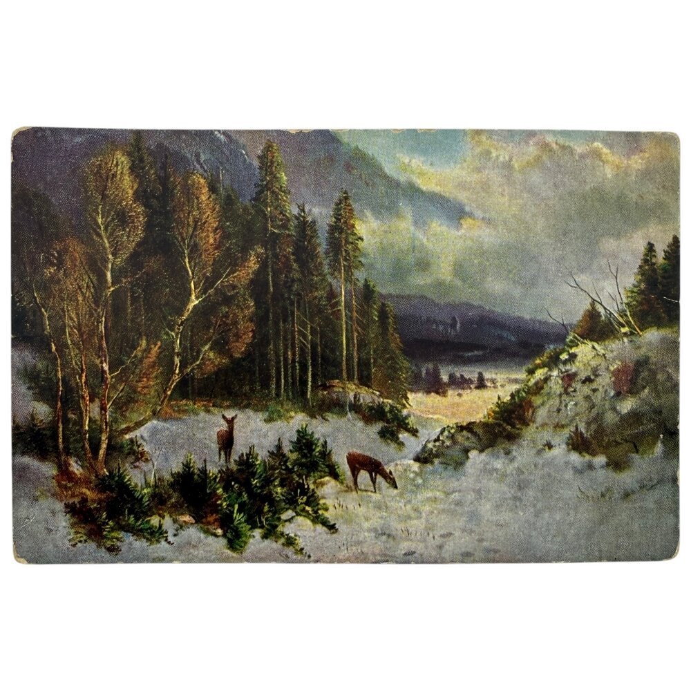 Почтовая открытка "Зимний лес с оленями" 1900-1930гг. Великобритания