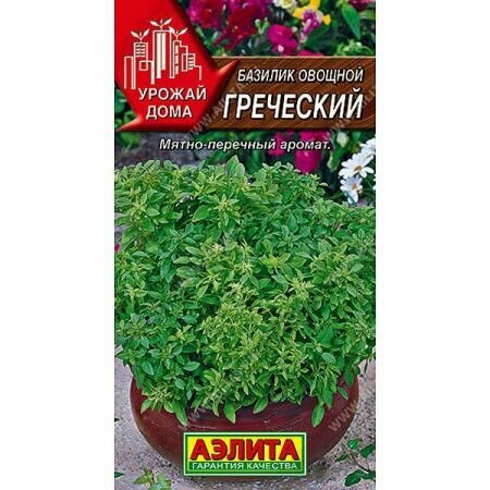 Семена Базилик Греческий - Сорт высокодекоративный , отлично под ходит для выращивания в горшках на подоконниках и балконах . Аэлита