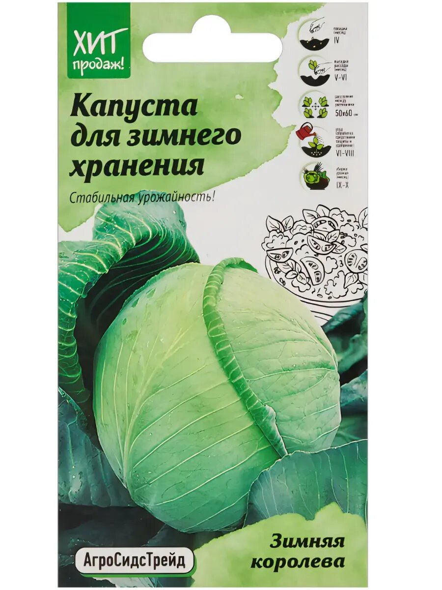 Семена капуста Зимняя королева