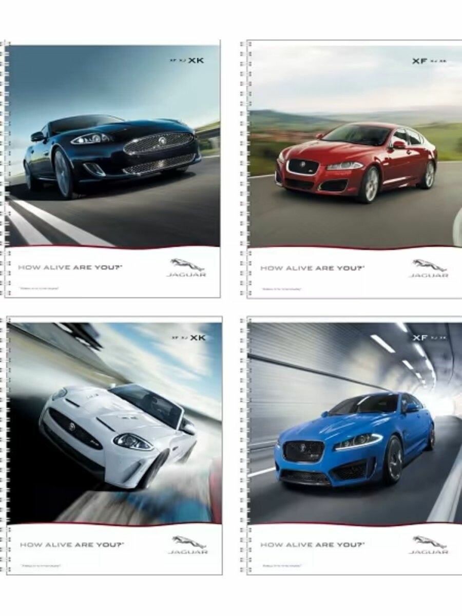 Тетрадь общая Erich Krause "Jaguar (XF, XK)", 96 листов, на спирали, клетка (35644)