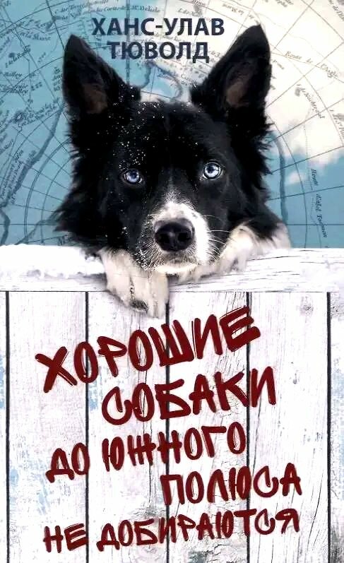 Хорошие собаки до Южного полюса не добираются